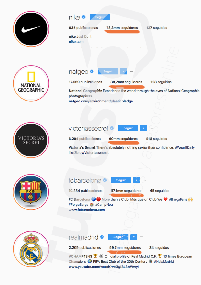 Perfil de empresa de Instagram para principiantes | tugesto