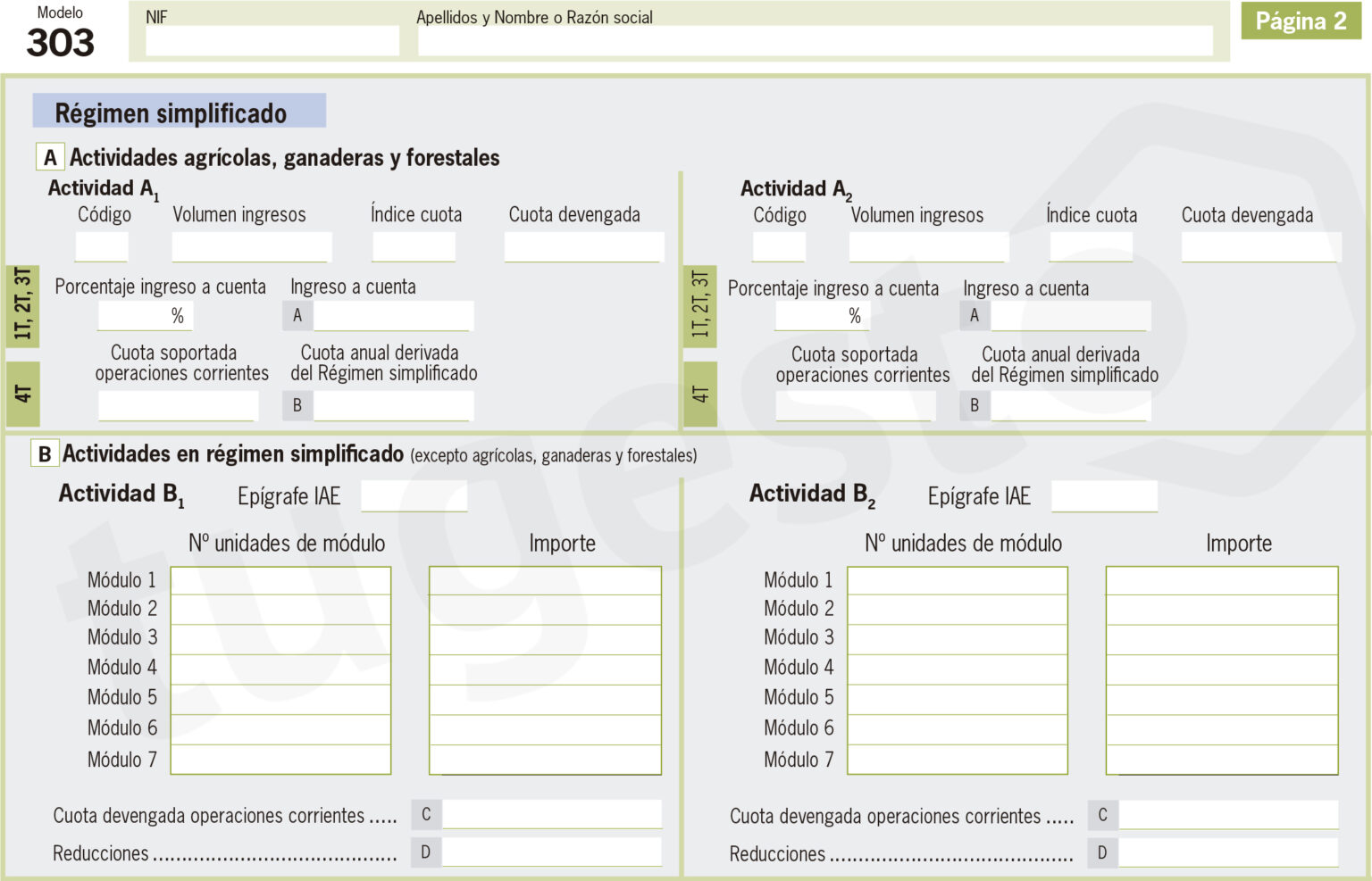 Cómo rellenar el modelo 303: paso a paso | tugesto